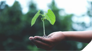 Drag Box - MGF - trusted provider of comprehensive temporary work ...